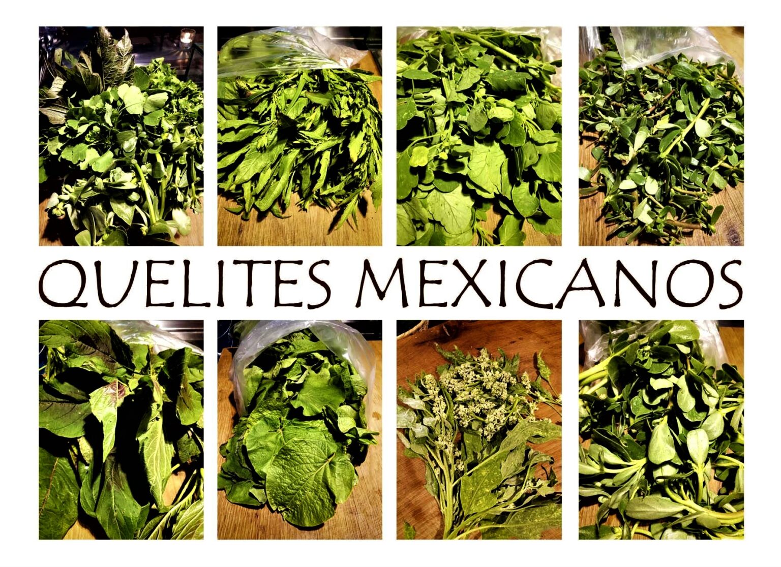 Alimentos prehispánicos que siguen en la cocina mexicana ...